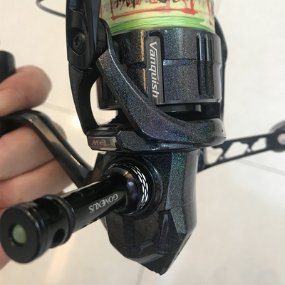 19款万奎士透明贴膜Vanquish保护膜纺车轮彩色保护膜