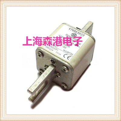 熔断器,熔芯,保险丝170M3023