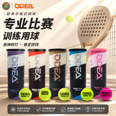 欧帝尔板式网球高弹耐打训练比赛