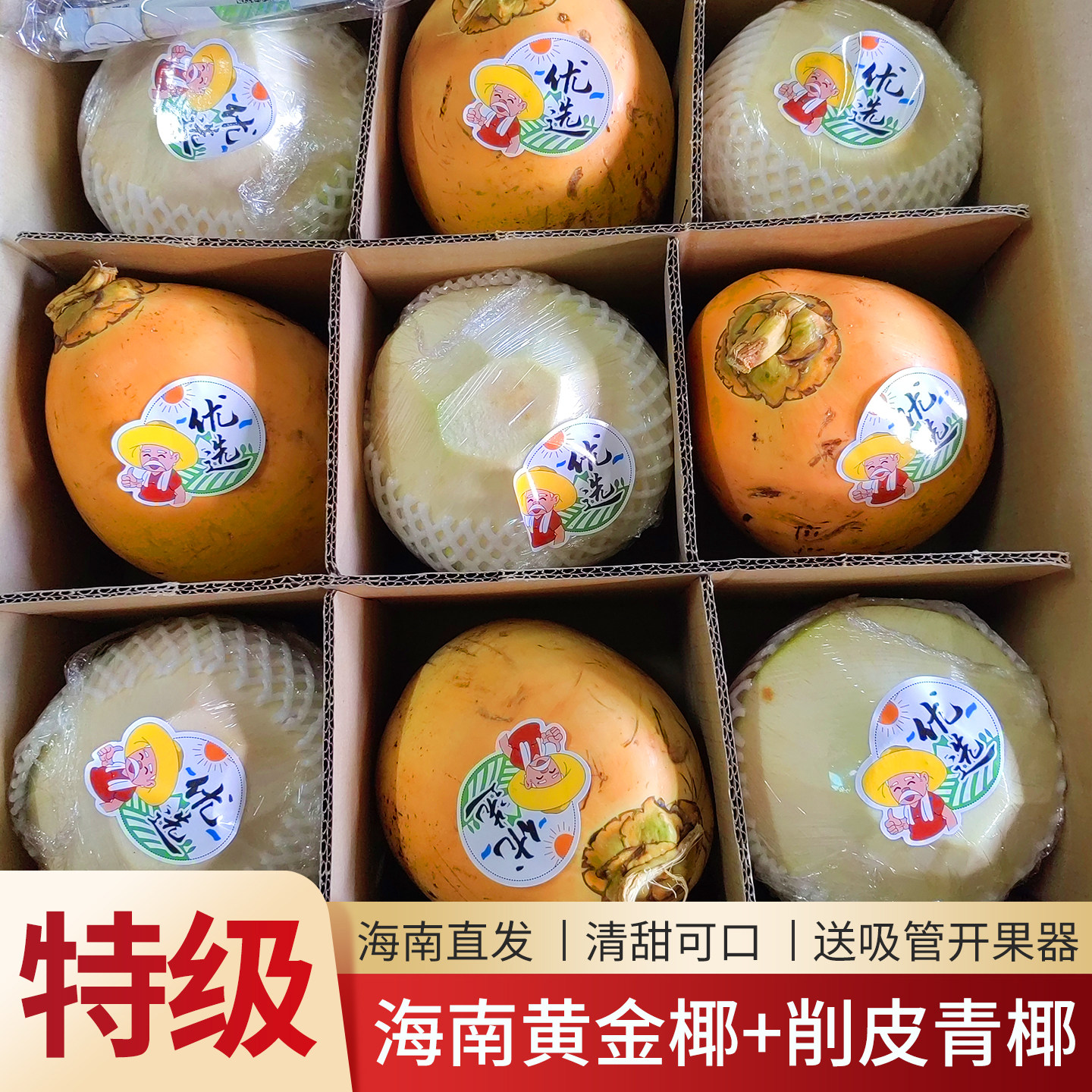 海南椰青削皮青椰黄金椰当季新鲜椰子9个装两款拼装孕妇水果椰皇