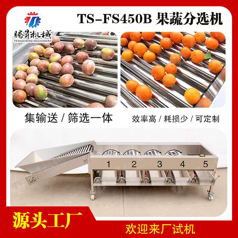 自动水果筛选机 筛选大小分级机 果场专用滚杠选果机 水果分选机