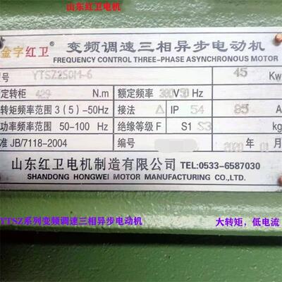 山东源头厂家直供YTSZ250M-6/45W起重变频调速三相异步电动机