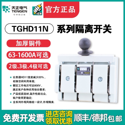 天正TGHD11N闸刀开关100A三相四线48刀闸160A小体积4P隔离开关380