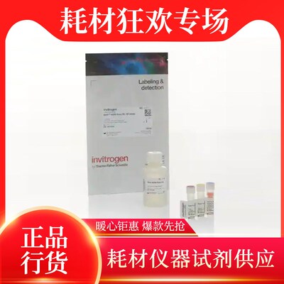 Invitrogen Qubit ssDNA 检测试剂盒 Q10212