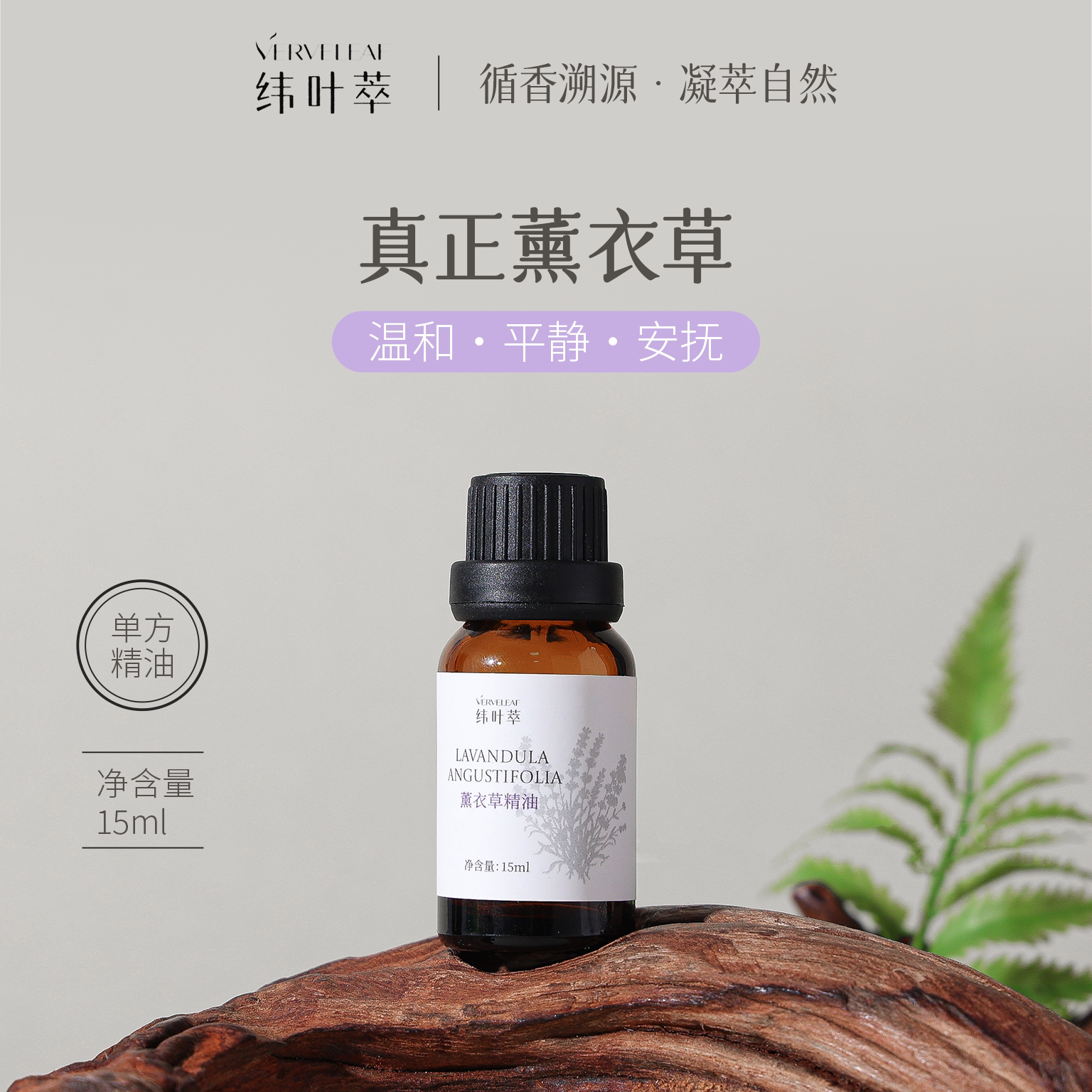 纬叶萃真实薰衣草单方精油温暖安抚舒缓天然植物精油花穗蒸馏