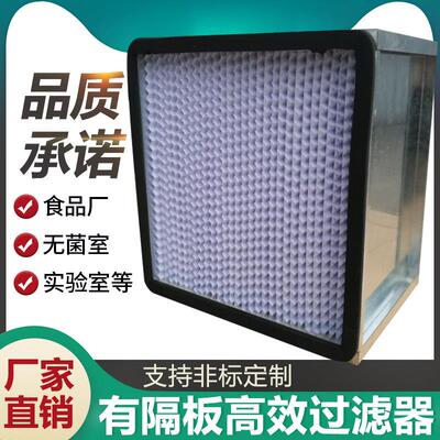 效滤器13H无隔板空气过滤高网FFU洁净过滤器V型亚高高效188过效耐
