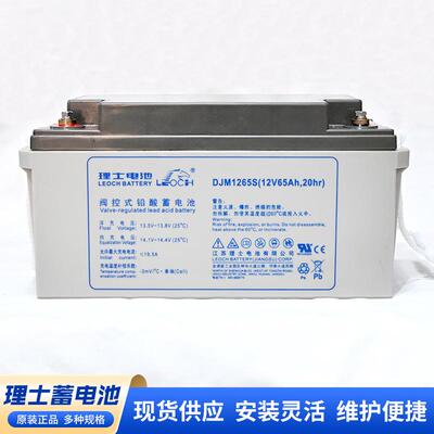 理士蓄电池 DJM1240S/12V40AH 铅酸免维护LEOCH理士蓄电池