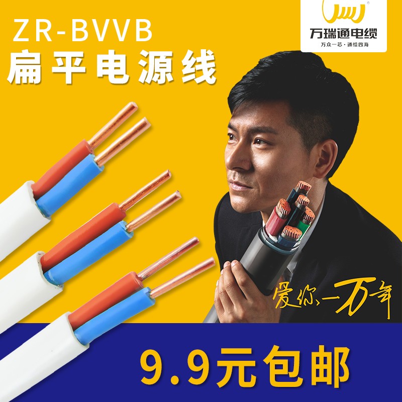 国标BVVB二芯铜芯护套线2*1.5/2.5/4平方2芯电源电线白色扁平零卖