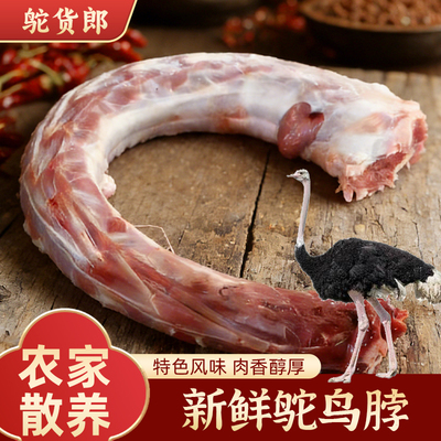新鲜散养现杀去皮鸵鸟脖子500g