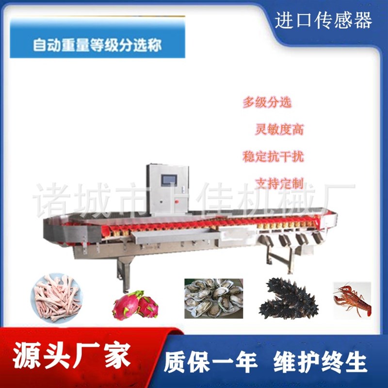 鲍鱼重量分选机八级不锈钢架体海参分选机牡蛎自动分拣机