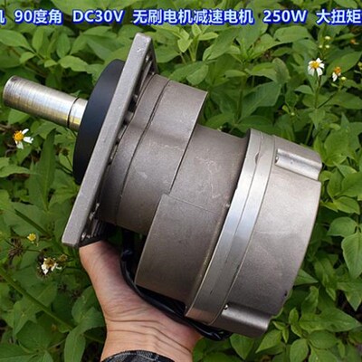直流道闸 90度角 无刷减速电机 250W 大功率 60.N.m (一整套)