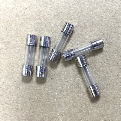 Glass Fuse 玻璃熔断器保险丝管快熔 5x20 F2AL250V 普通凹帽