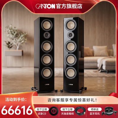 CANTON/德国金榜 A 45 家庭影院主音箱 客厅家用hifi落地箱