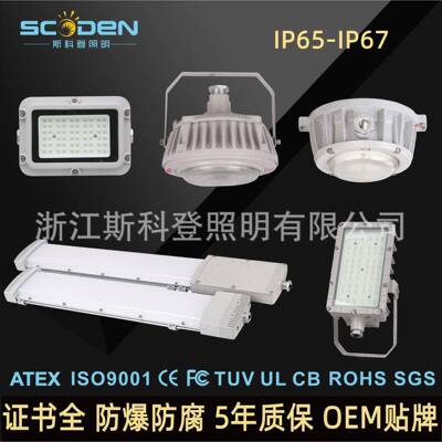 36v24v国标应急防爆粉尘车间石化泵房20w30w40w50wLED三防吸顶灯
