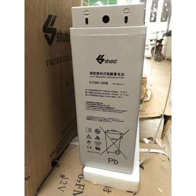 双登12V100AH狭长铅酸免维护蓄电池6-FMX-100B/C/A网络机柜基站用