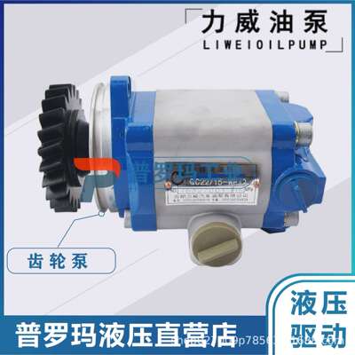 QC13/12-D10WX合肥力威液压3407020-155-CS2A客汽车 动力泵转向泵
