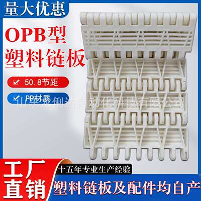 OPB塑料网带链50.8节距pp食品级耐磨耐酸碱流水线塑料链板输送机