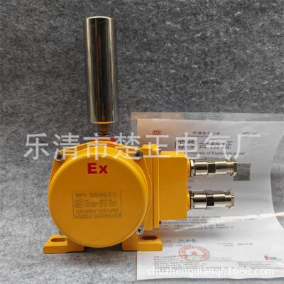 防爆两级跑偏开关ExKPT1(BKPT1)-12-30防偏跑偏控制器带接线盒