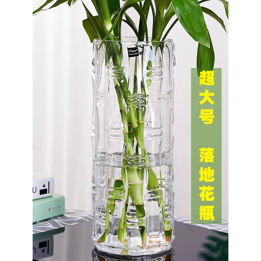 特大号落地富贵竹花瓶摆件玻璃透明水养水培直筒家用客厅插花装饰
