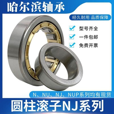 二类圆柱滚子轴承NJ NU NUP217 218 219 220 222 224 226 EM静音