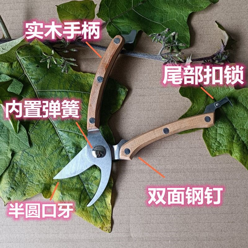 花艺师插花专用剪花艺剪刀不锈钢剪花枝剪刀鲜花剪园艺修枝剪