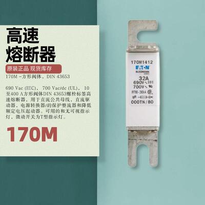 销售型号170M5146 巴斯曼BUSSMANN 高压跌开式熔断器/保险丝/底板