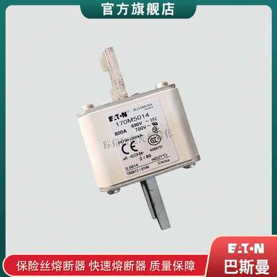 170M5013 5014 5015 5016 5017 5018 巴斯曼bussmann快速熔断器