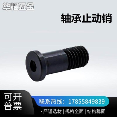 轴承止动销外螺纹同径形BKT02-D5/6/8/10/12标准型BGPM6/8/10/12