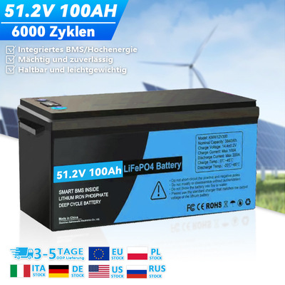 Batterie für Haushaltfahrzeuge LiFePO4 51,2V 100Ah 200Ah