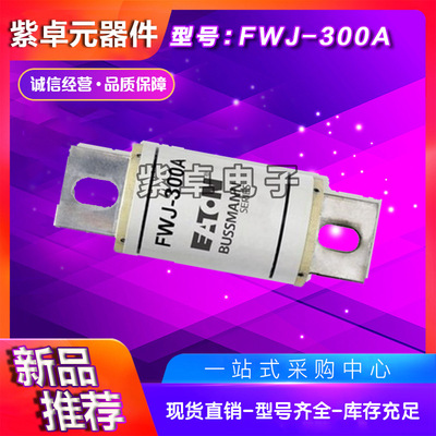 FWJ-200A400FMM710MMT熔断器