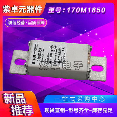 巴斯曼170M1850-1853快速熔断器