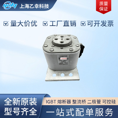 巴斯曼熔断器170M7488170M7489170M7498170M7491170M7499