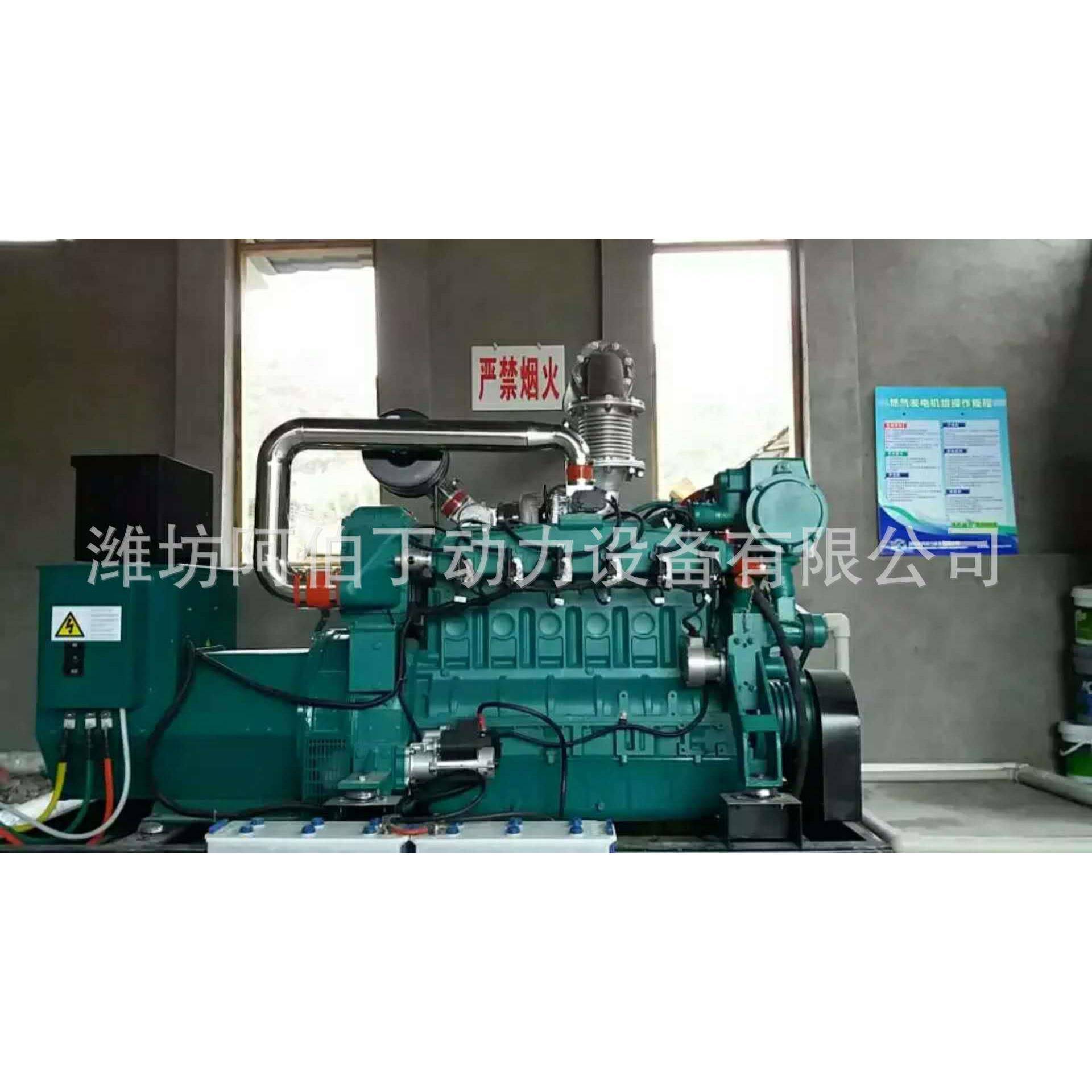 厂现货直100kw 发电机相组100千瓦燃气、沼供气纯铜三阿伯丁家发