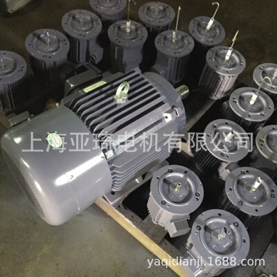 YP-50-30-2电机 YP系列变频电动机 CEMA 变频调速电机