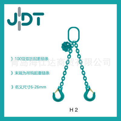 德国JDT起重吊索具 双肢整套起重链条 链条直径6mm-26mm