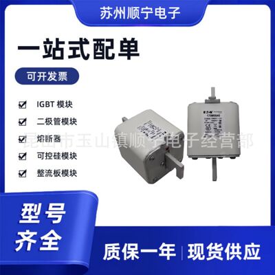 170M8606  170M8607  170M8608 熔断器保险丝 全新原装 型号齐全