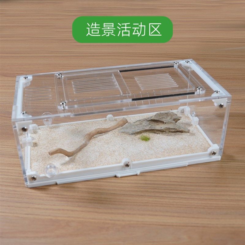 蚂蚁巢造景巢折叠巢平面巢蚂蚁工坊阿韬ANTS生态观察别墅教学家园