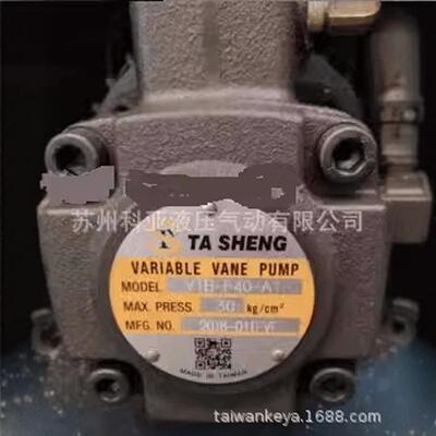 台湾TA SHENG VARIABLE VANE PUMP叶片泵 VTB-F40-A1油泵