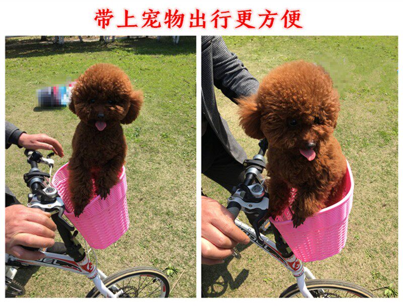 折叠车自行车山地自行车篮子电动车塑料前挂篮车篓子车筐放宠物篮