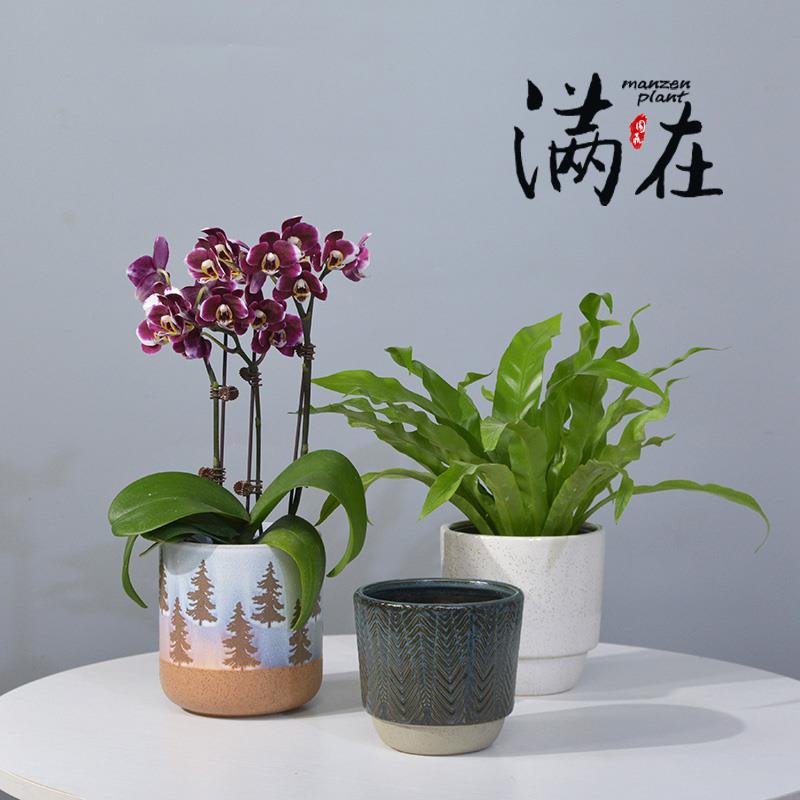【满在】陶瓷冰裂多肉花盆创意简约个性多肉绿植桌面小盆栽盆包邮