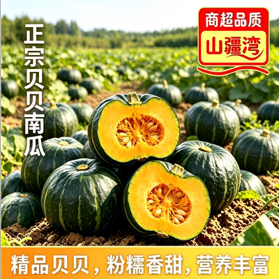 山疆湾贝贝南瓜4.5斤产地直发