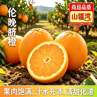 山疆湾伦晚脐橙4.5斤产地直发