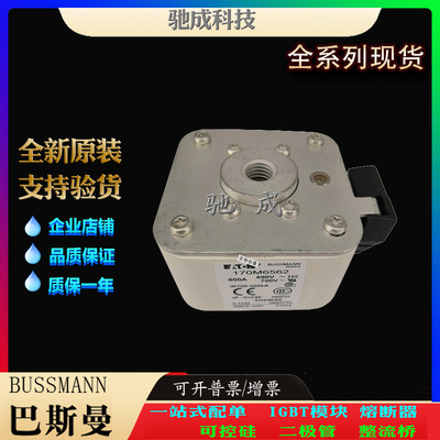 巴斯曼170M6586 170M6587 170M6588 销售供应零售批发 快速保险丝
