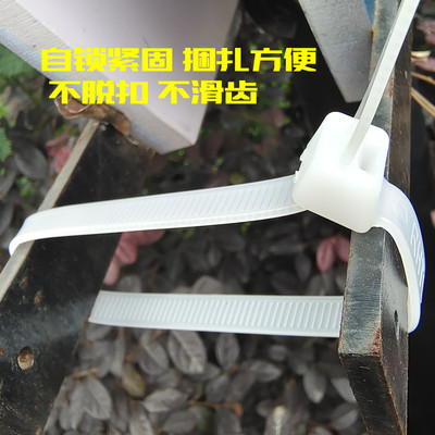 自锁式尼龙扎带10*600mm长塑料一拉得固定卡扣缩紧理线捆绑勒死狗