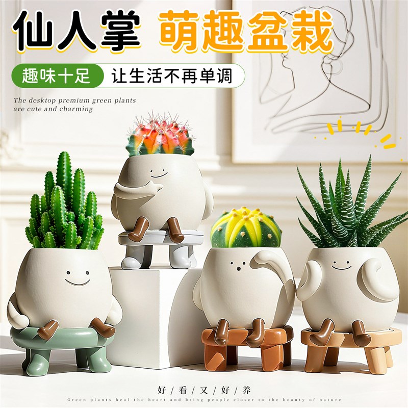 仙人掌仙人球绿植盆栽多肉植物治愈系情绪价值盆景办公室桌面摆件