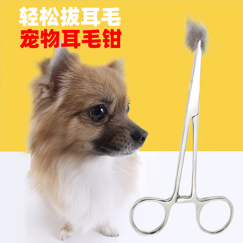 拔耳毛钳狗耳朵拔毛神器泰迪猫咪止血钳子宠物狗狗耳朵清洁用品