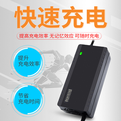 锂电池充电器24V36V48V60V54.6V67.2V滑板车代驾车独轮哈雷电动车