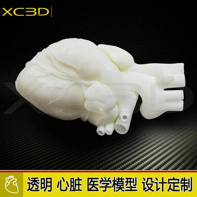 医学用途透明3D打印心脏模型 可客制化大号88x84x150mm可拆装设计