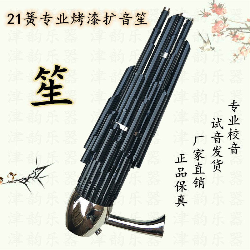 笙乐器21簧普及扩音笙大全专业演奏成人儿童初学入门大音量21苗笙