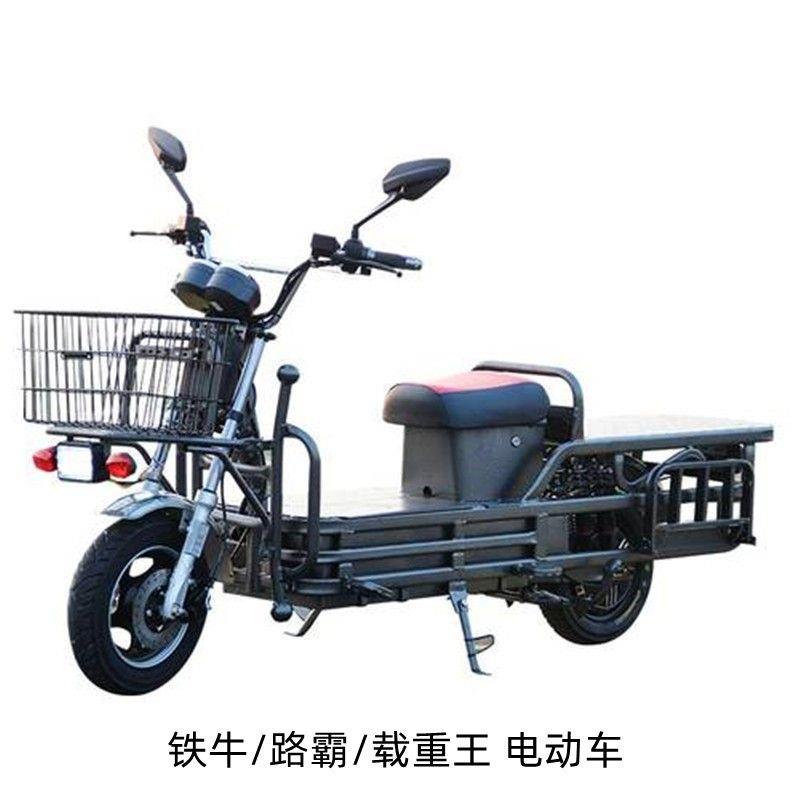 载重王电动车前避震器碟煞鼓31粗刹电动脚踏车前叉减震装置72厘米